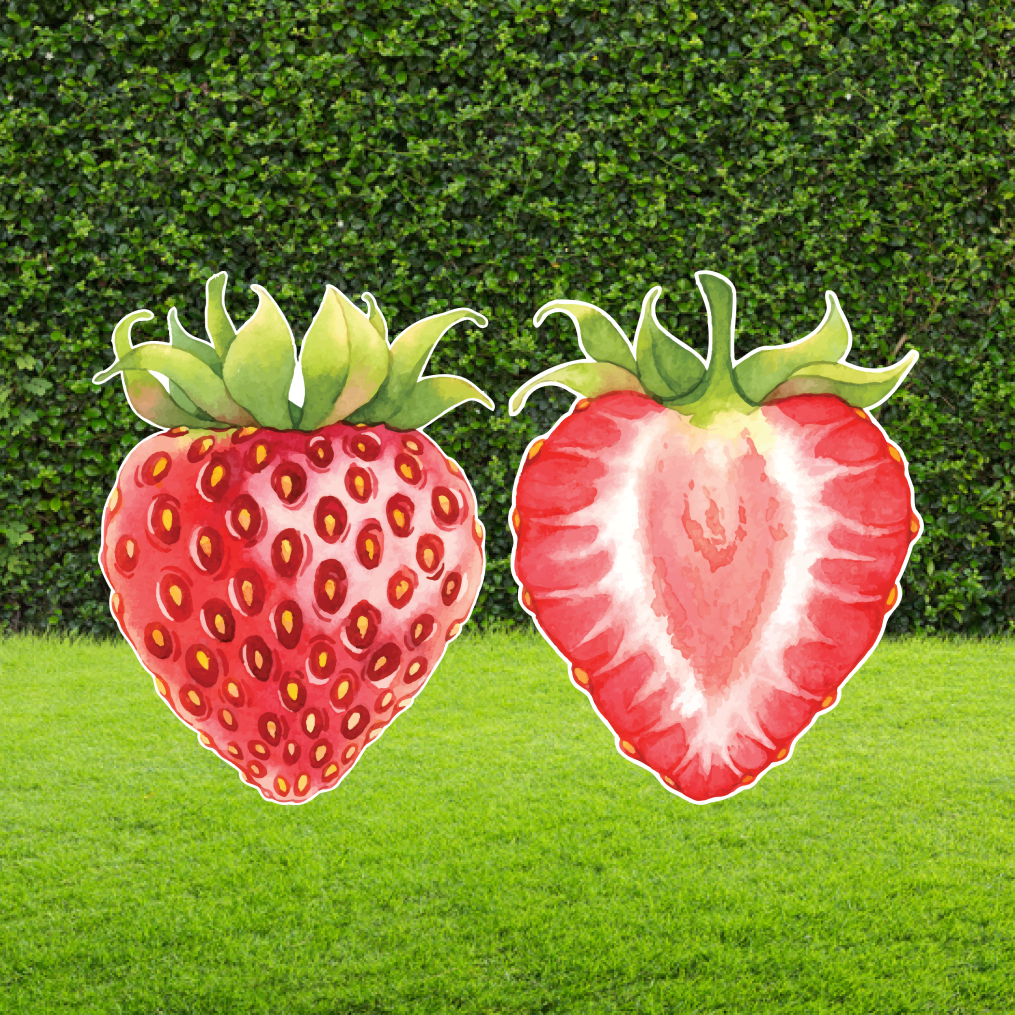 Watercolour Strawberry Cut Out Party Prop Set – Party Sign Co