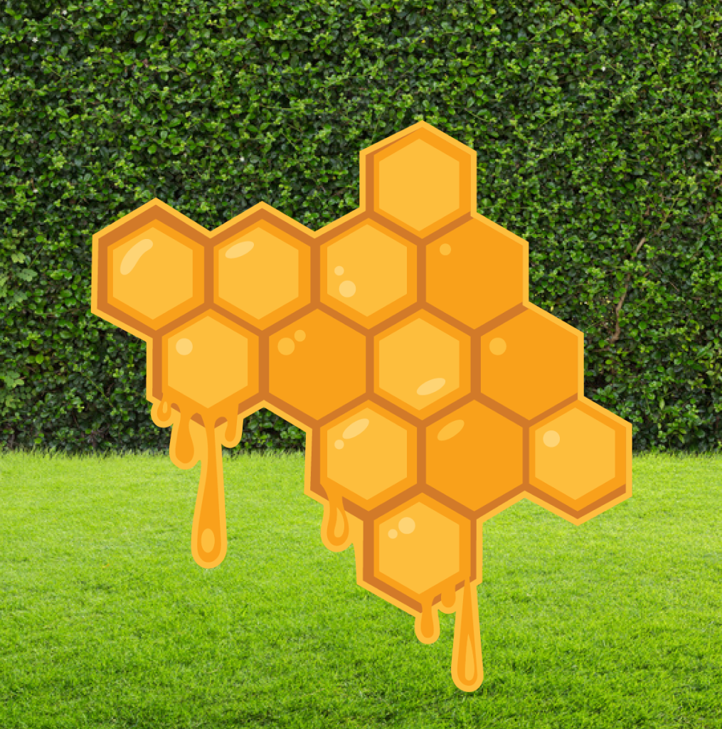 Honeycomb Party Prop Cut Out – Party Sign Co